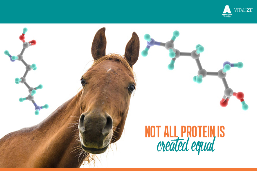 Not All Protein Is Created Equal Vitalize