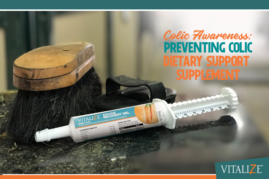 Colic Awareness: Preventing Colic Part 5 - Vitalize
