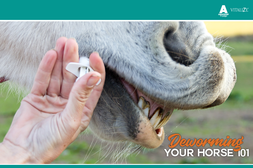 Deworming Your Horse 101 - Vitalize