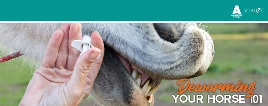 Deworming Your Horse 101 - Vitalize