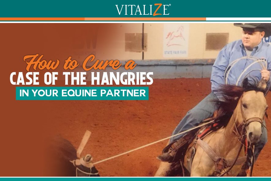 How to Cure a Case of the Hangries in your Equine Partner - Vitalize