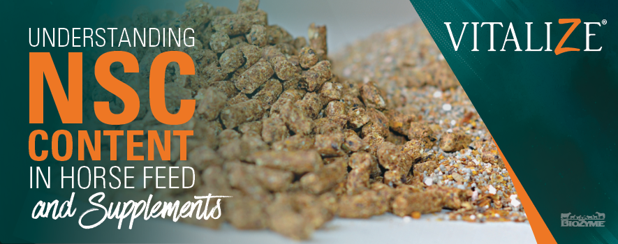 Understanding NSC Content in Horse Feed and Supplements - Vitalize
