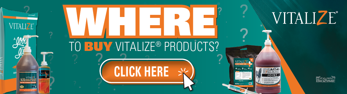 - Vitalize