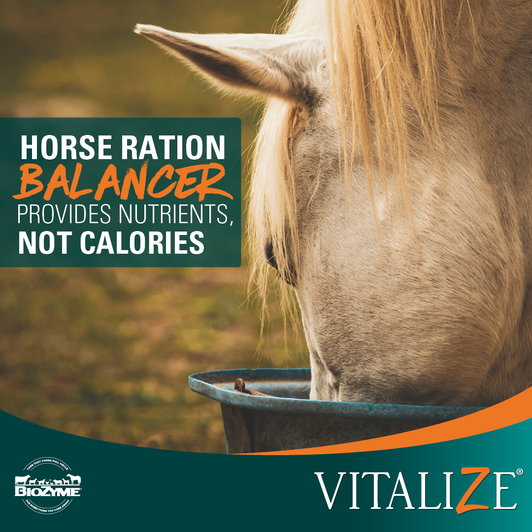 Horse Ration Balancer Provides Nutrients, Not Calories - Vitalize
